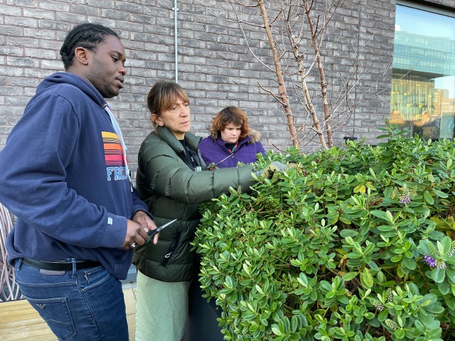 Southwark College students encourage biodiversity at campus with new ...